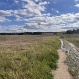 Vernal Pool Trail and Transpreserve Trail Loop, California - 348 ...