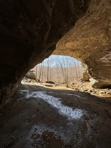 Best Wheelchair-friendly Trails in Carter Caves State Resort Park ...