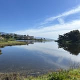 Goleta Beach and the UCSB Lagoon Trail, California - 524 Reviews, Map ...