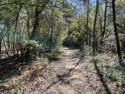 Best Hikes and Trails in Frenchtown Conservation Area | AllTrails