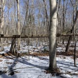 Mooween State Park Loop , Connecticut - 387 Reviews, Map | AllTrails