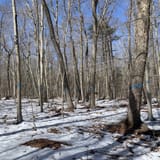 Mooween State Park Loop , Connecticut - 387 Reviews, Map | AllTrails