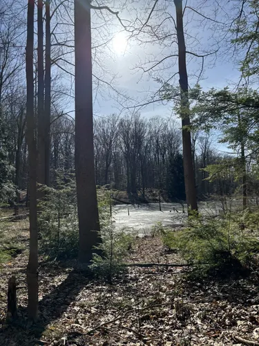 Best Hikes and Trails in Zoar Valley Multiple Use Area | AllTrails