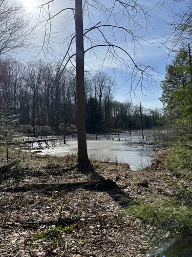 Best Hikes and Trails in Zoar Valley Multiple Use Area | AllTrails