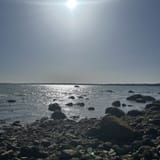 Fort Rodman Loop, Massachusetts - 111 Reviews, Map | AllTrails