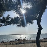 Fort Rodman Loop, Massachusetts - 111 Reviews, Map | AllTrails