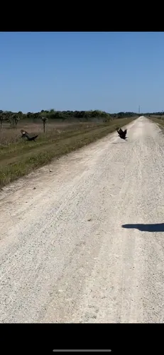 Best Hikes and Trails in Three Forks Conservation Area | AllTrails