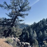 Eagle's View Trail Loop, Colorado - 2,969 Reviews, Map | AllTrails