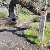 Little Yosemite via Camp Ohlone, Geary, Backpack and McCorkle Loop ...