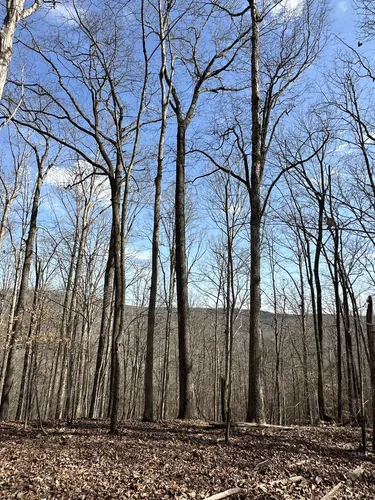 Best Hikes and Trails in Cathedral Caverns State Park | AllTrails