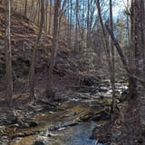 Stiles Falls, Virginia - 520 Reviews, Map | AllTrails