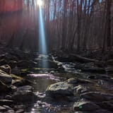 Stiles Falls, Virginia - 520 Reviews, Map | AllTrails