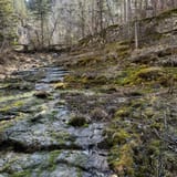 Botany Canyon, South Dakota - 549 Reviews, Map | AllTrails