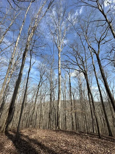Best Hikes and Trails in Cathedral Caverns State Park | AllTrails