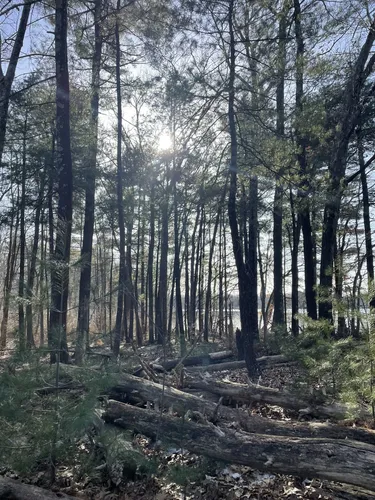 Best Hikes and Trails in James V. Turner Reservoir | AllTrails