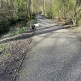 Sankey Valley Visitor Centre - Carr Mill Dam Circular, Merseyside ...