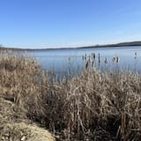 Saganashkee Slough, Illinois - 257 Reviews, Map | AllTrails