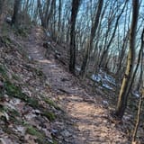 Peters Mountain Ridge via Appalachian Trail, Pennsylvania - 1,416 ...