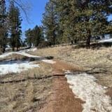 Davis Ponds Trail, Colorado - 1,198 Reviews, Map | AllTrails