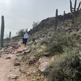 Calderwood Butte Trail, Arizona - 1,807 Reviews, Map | AllTrails