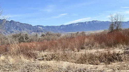 Best Hikes and Trails in Corrales Bosque Preserve | AllTrails