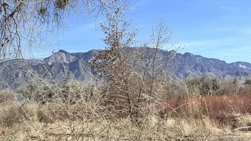 Best Hikes and Trails in Corrales Bosque Preserve | AllTrails