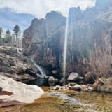 Ellison Creek Cascades, Arizona - 616 Reviews, Map | AllTrails