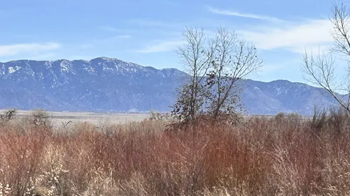 Best Hikes and Trails in Corrales Bosque Preserve | AllTrails