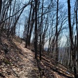 Peters Mountain Ridge via Appalachian Trail, Pennsylvania - 1,415 ...