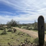 Apache Wash Sidewinder Loop Trail, Arizona - 1,860 Reviews, Map | AllTrails