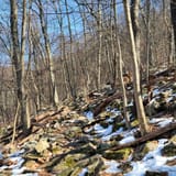 Peters Mountain Ridge via Appalachian Trail, Pennsylvania - 1,416 ...