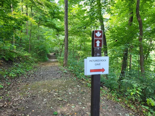 Best Forest Trails in Wyalusing State Park | AllTrails