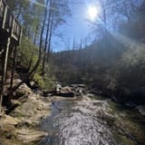Dukes Creek Trail, Georgia - 3,050 Reviews, Map | AllTrails