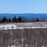 Massie Gap and Wilburn Ridge Loop, Virginia - 909 Reviews, Map | AllTrails