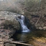 Cascade Falls Loop Trail, Maryland - 2,901 Reviews, Map | AllTrails