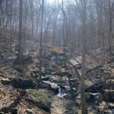 Cascade Falls Loop Trail, Maryland - 2,901 Reviews, Map | AllTrails