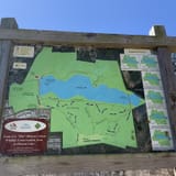 Hinson Lake, North Carolina - 72 Reviews, Map | AllTrails