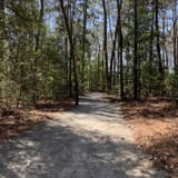 Hinson Lake, North Carolina - 72 Reviews, Map | AllTrails