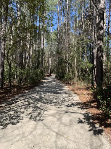 Best Hikes and Trails in Hinson Lake Park | AllTrails