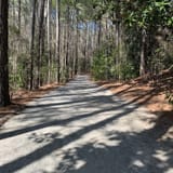 Hinson Lake, North Carolina - 72 Reviews, Map | AllTrails