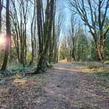 Forest Park Ridge Trail, Oregon - 1,224 Reviews, Map | AllTrails