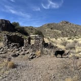 Soledad Canyon Loop, New Mexico - 1,306 Reviews, Map | AllTrails