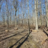 Plateau Trail, Ohio - 3,252 Reviews, Map | AllTrails