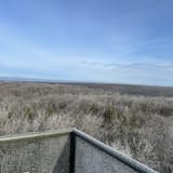 Mount Davis Pennsylvania Highpoint Trail, Pennsylvania - 719 Reviews ...