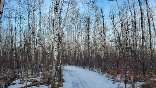 Best Hikes and Trails in St. Malo Provincial Park | AllTrails