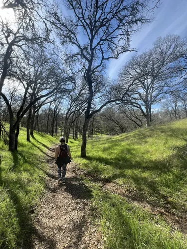 Best Lake Trails in Red Bluff | AllTrails