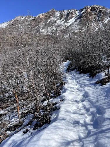 Best Hikes and Trails in Red Butte Garden Natural Area | AllTrails