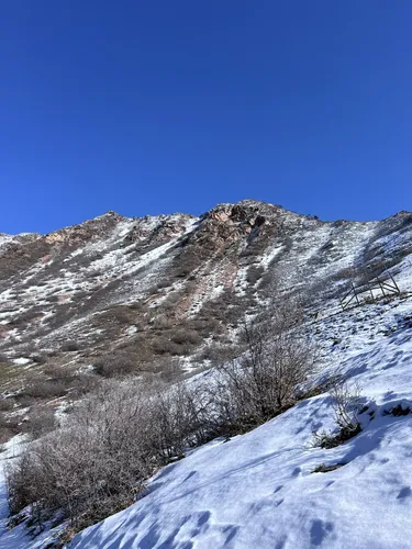 Best Hikes and Trails in Red Butte Garden Natural Area | AllTrails