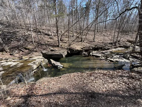 Best Hikes and Trails in Nine Penny Branch Nature Preserve | AllTrails