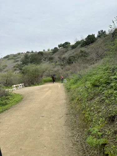 Best River Trails in Yorba Linda | AllTrails